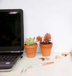 5 tips for Teleworking – BELLO Mag