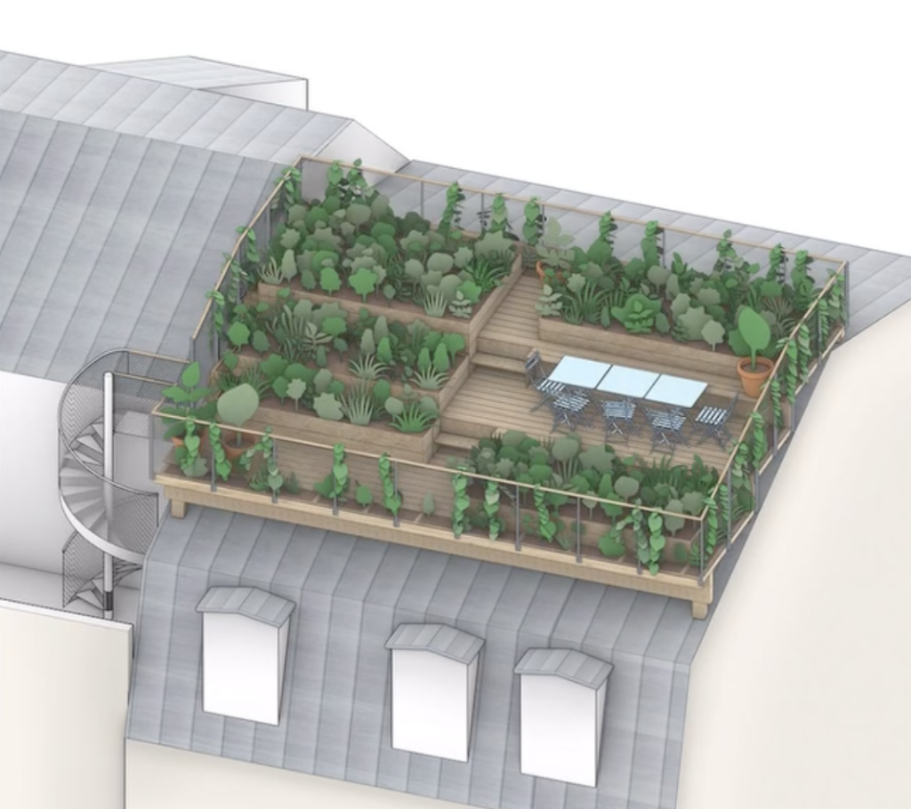 Elevating Paris: Roofscapes' Vision for a Greener Urban Future - BELLO Mag