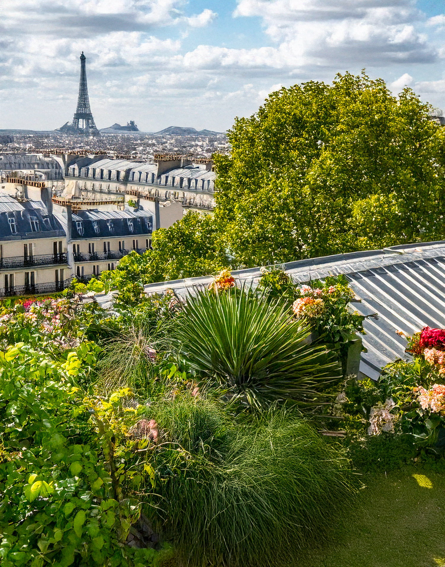 Elevating Paris: Roofscapes' Vision for a Greener Urban Future - BELLO Mag